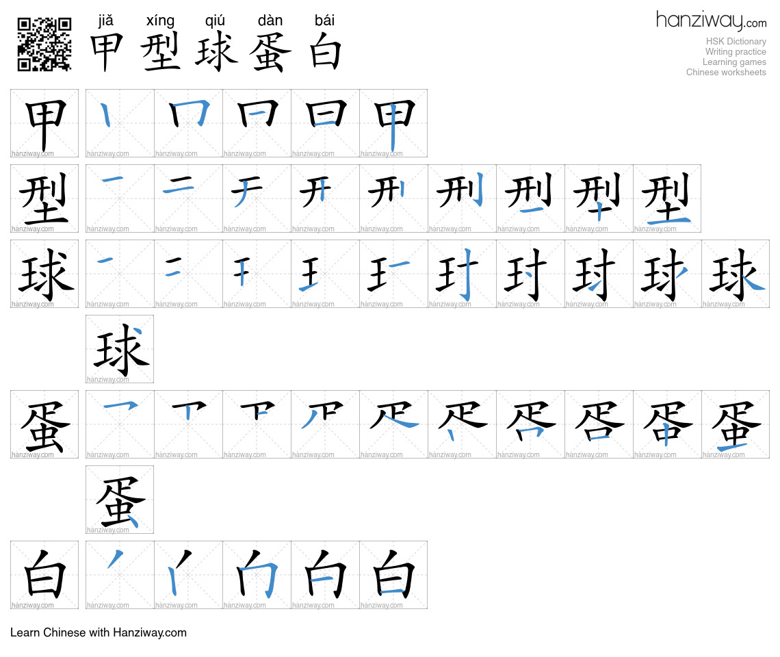 甲型球蛋白 (jiǎ xíng qiú dàn bái) - English translation, writing, stroke ...